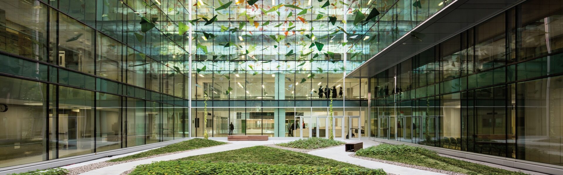 Project Management - CIMA+