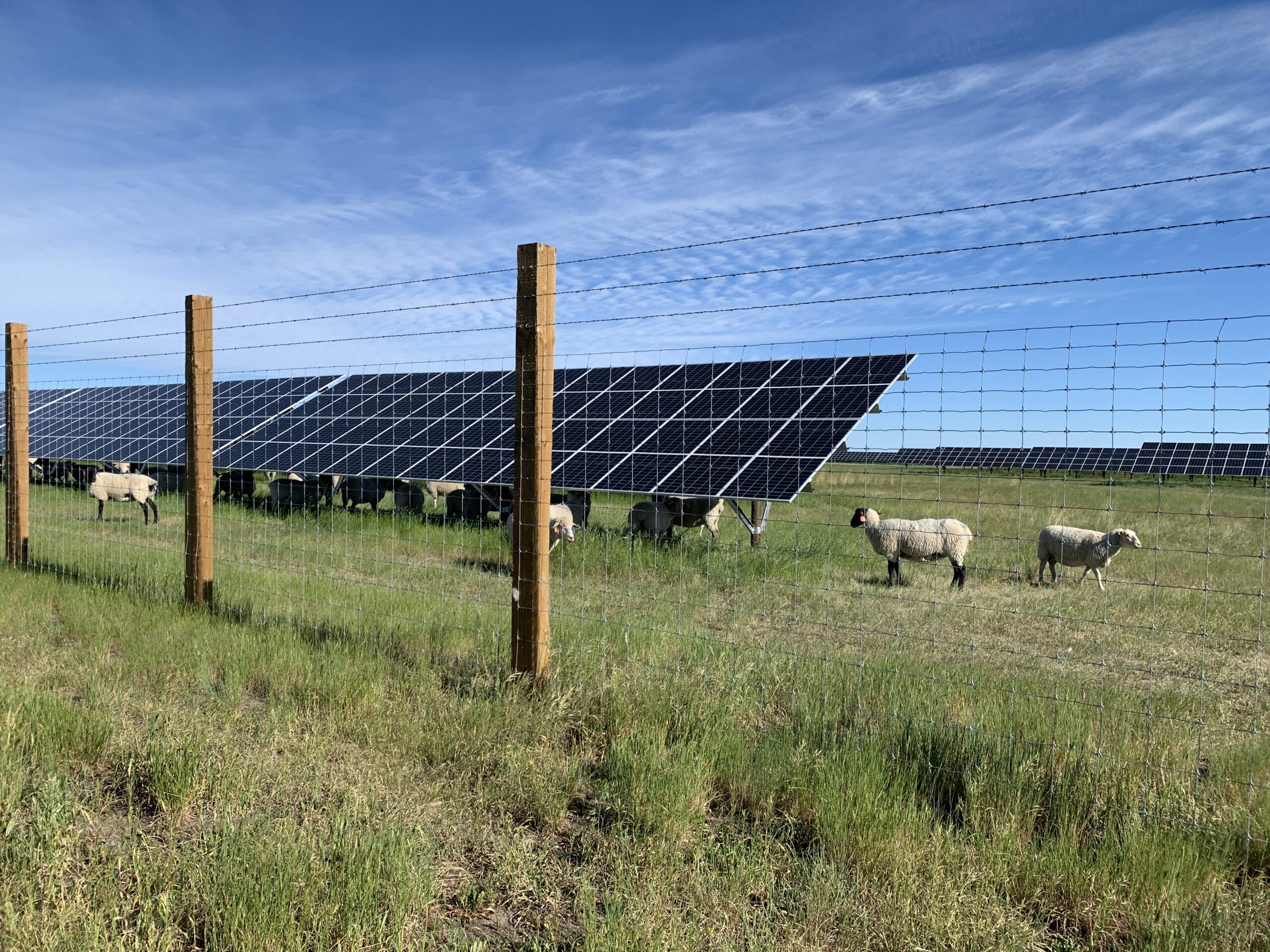 CIMA+ Innovation Shines at Solar Farms in Alberta - CIMA+
