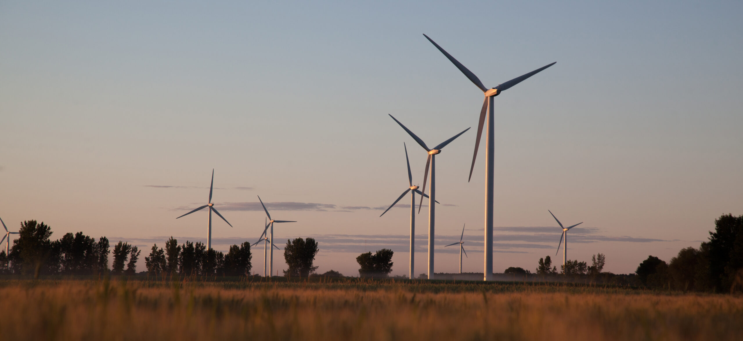 Showing the way forward with decarbonization - CIMA+